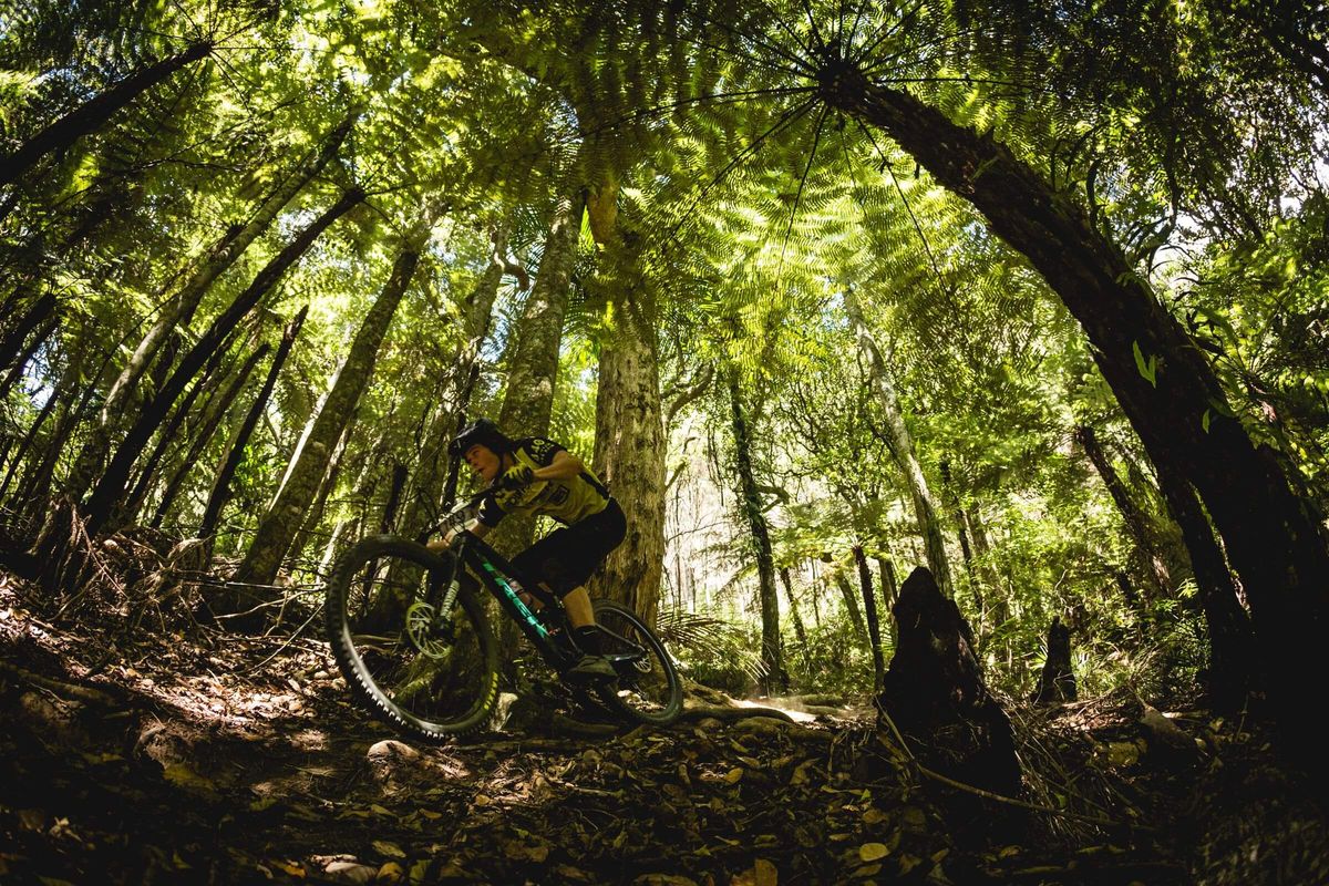Gravity Mountain Biking | Fourforty MTB Park