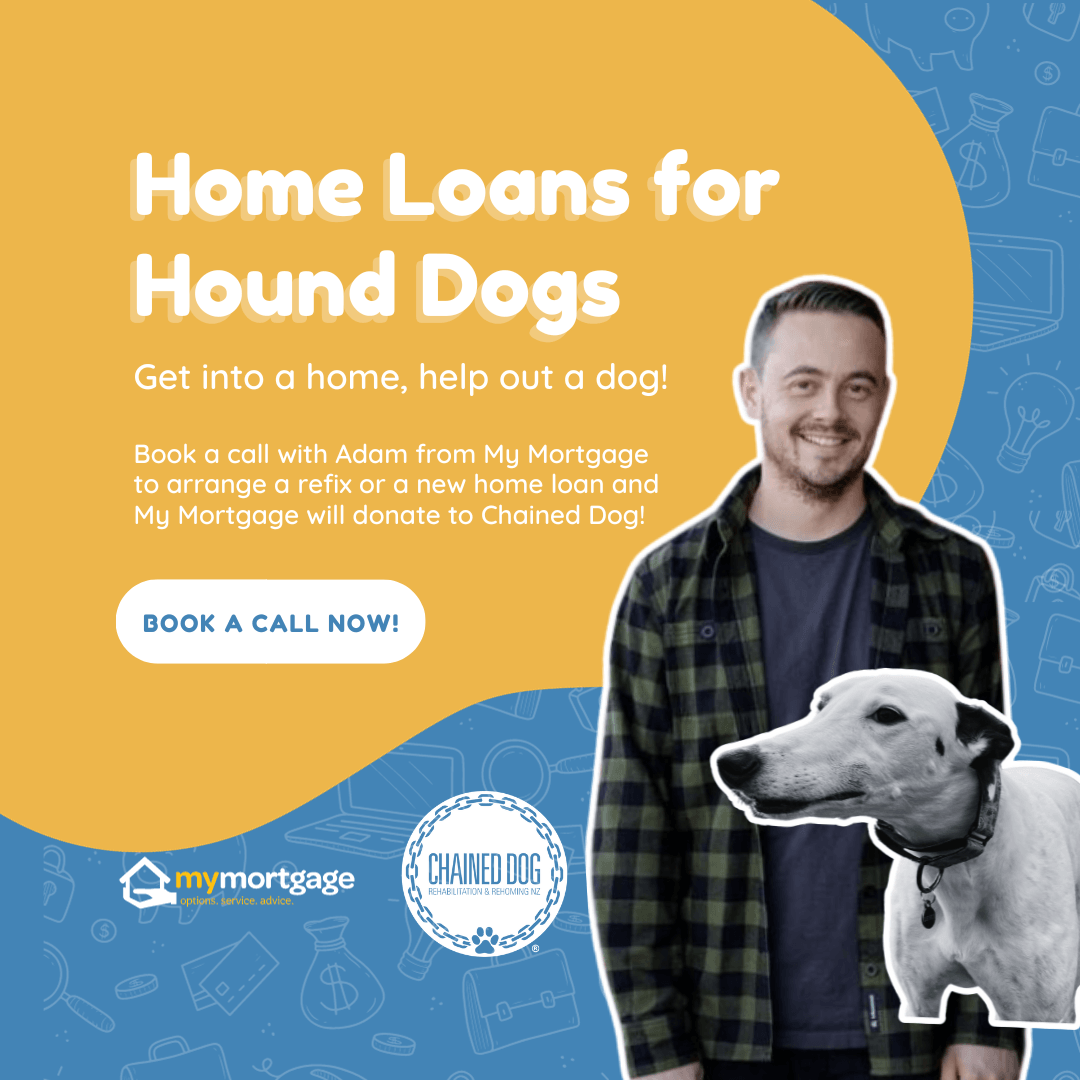 Home Loans for Hound Dogs | My Mortgage