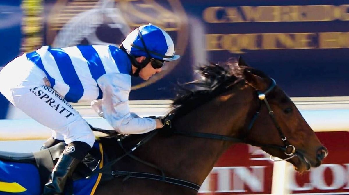 Greene Racing | We are ambitious and we love to win!