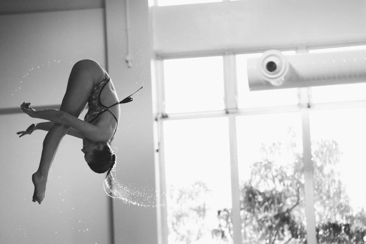 Auckland Diving | Squads