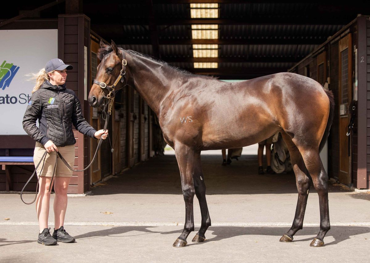 Richardson Racing Stables | Graham Richardson |Training excellence