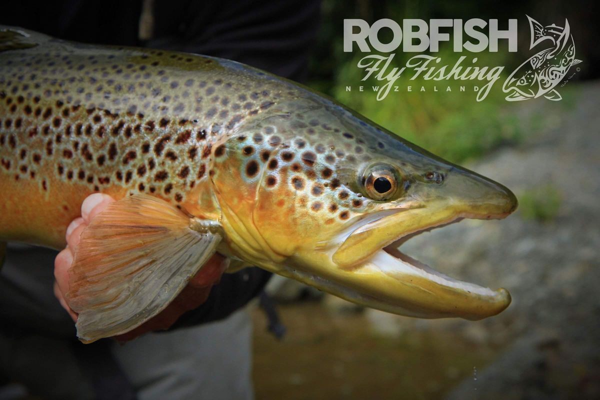 Experienced Rotorua Fly Fishing Guide | Robfish