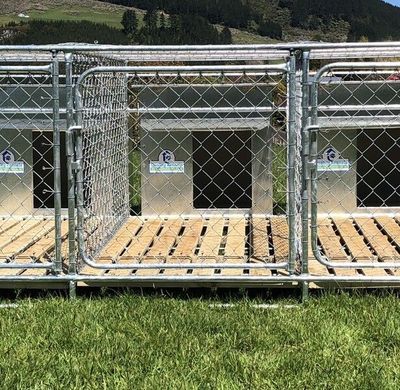 Dog Kennels and Runs NZ MADE | Quality Kennels. Buy online