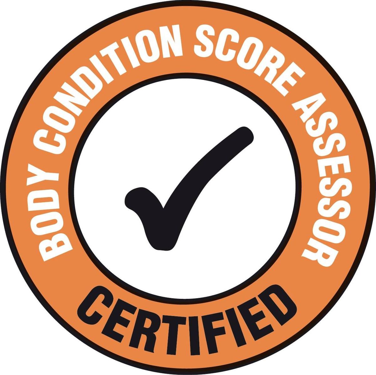 Consultant: Trish McIntosh | Headlands