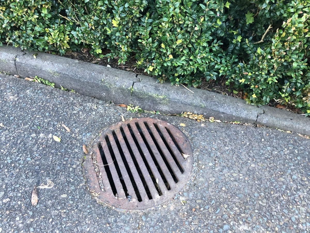 Alpha Drain Unblocking - Cesspit Cleaning, Auckland | Alpha Drain