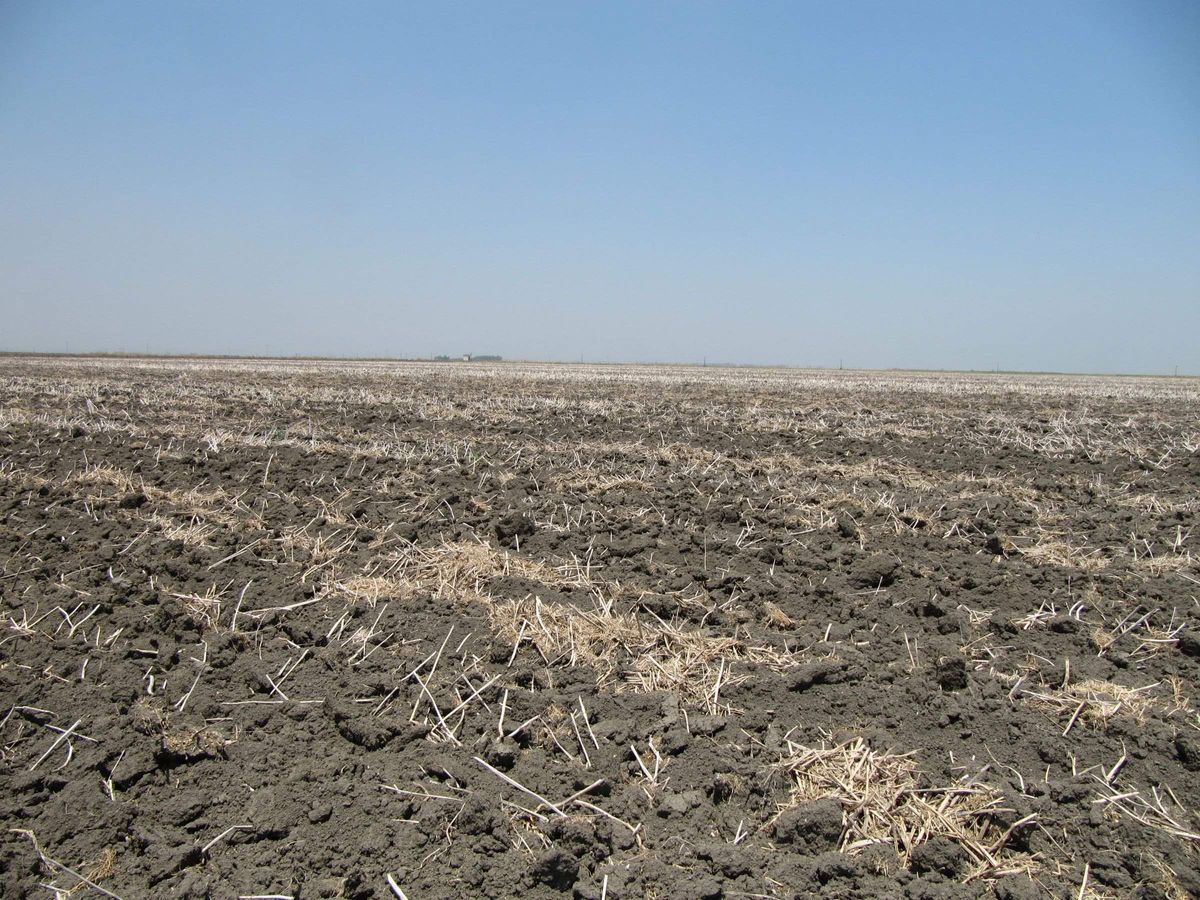 Turkey | Intelact Limited