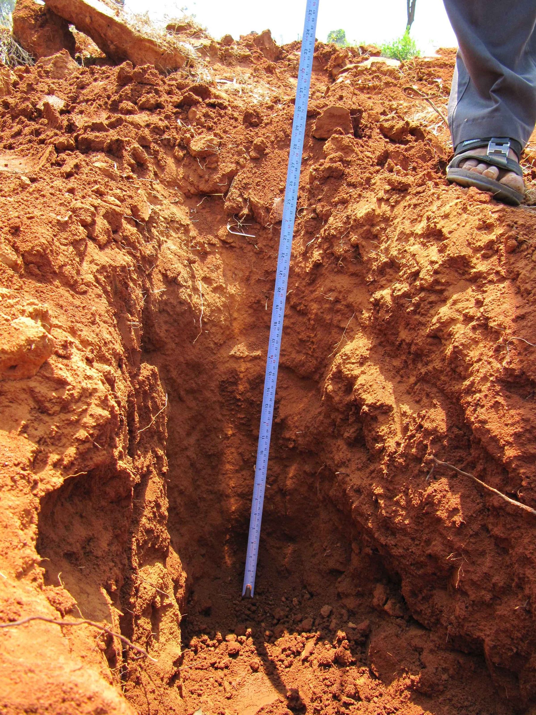 India | Intelact Limited