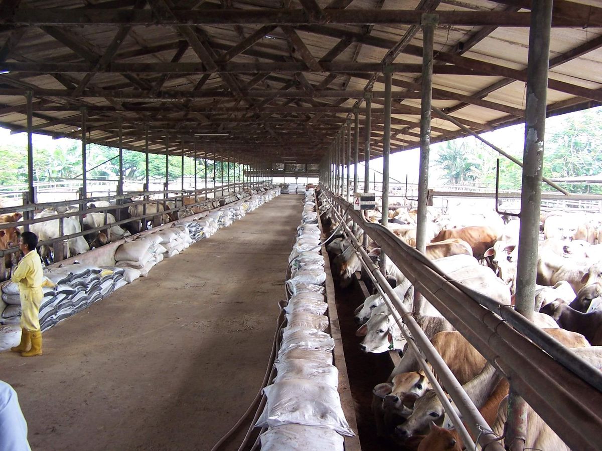 Malaysia | Intelact Limited