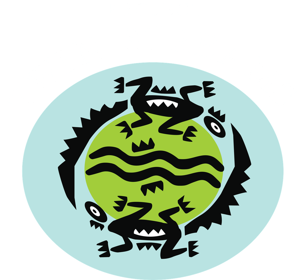 Project Twin Streams
