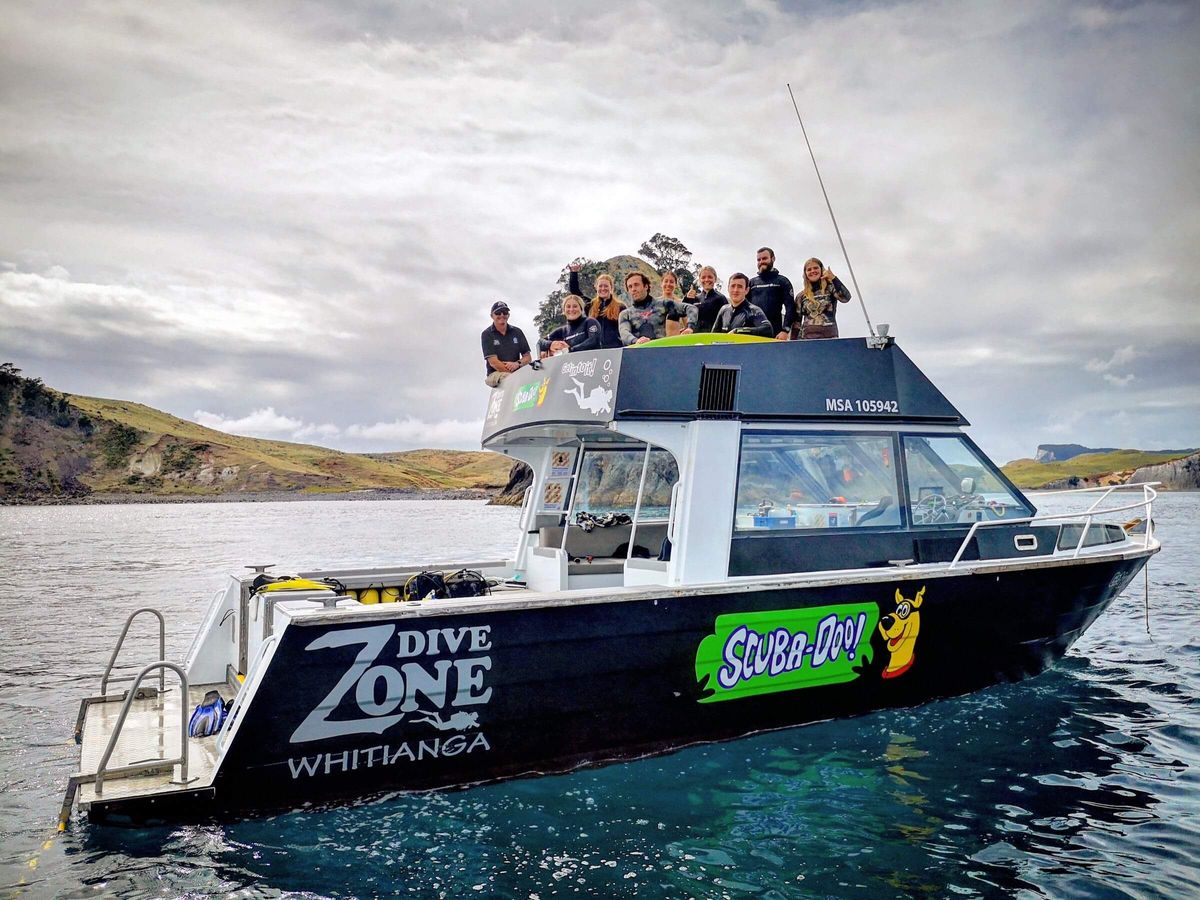 Our Dive Vessel | Dive Zone Whitianga