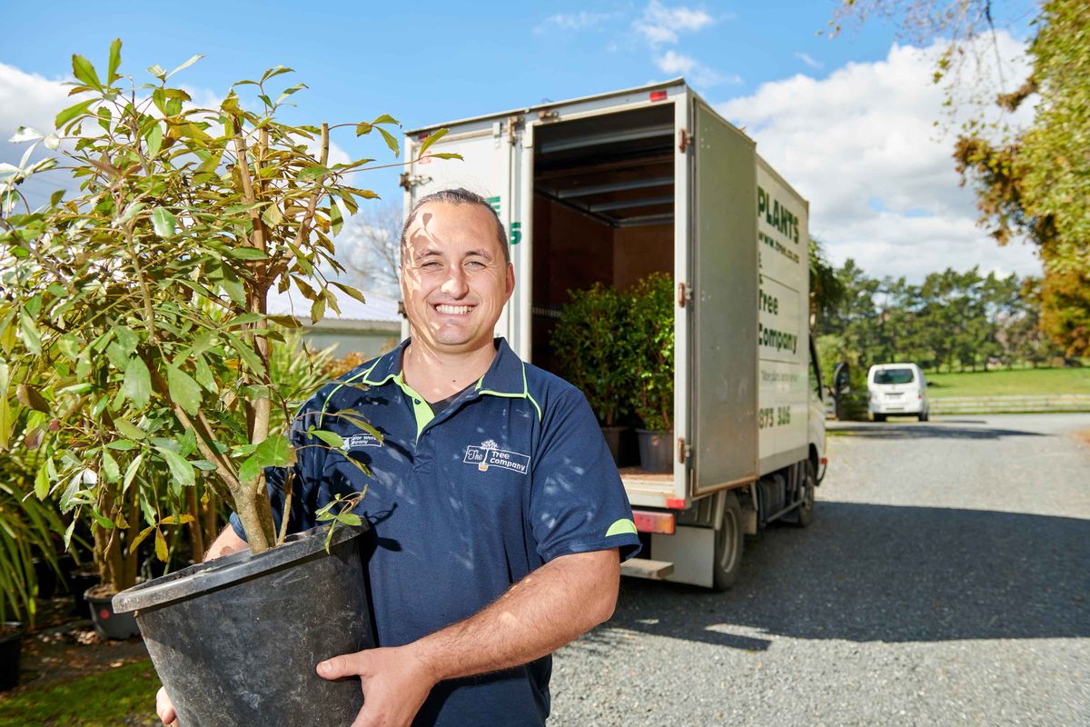 The Tree Company | Contact | Plant Hire – Waikato, Bay of Plenty