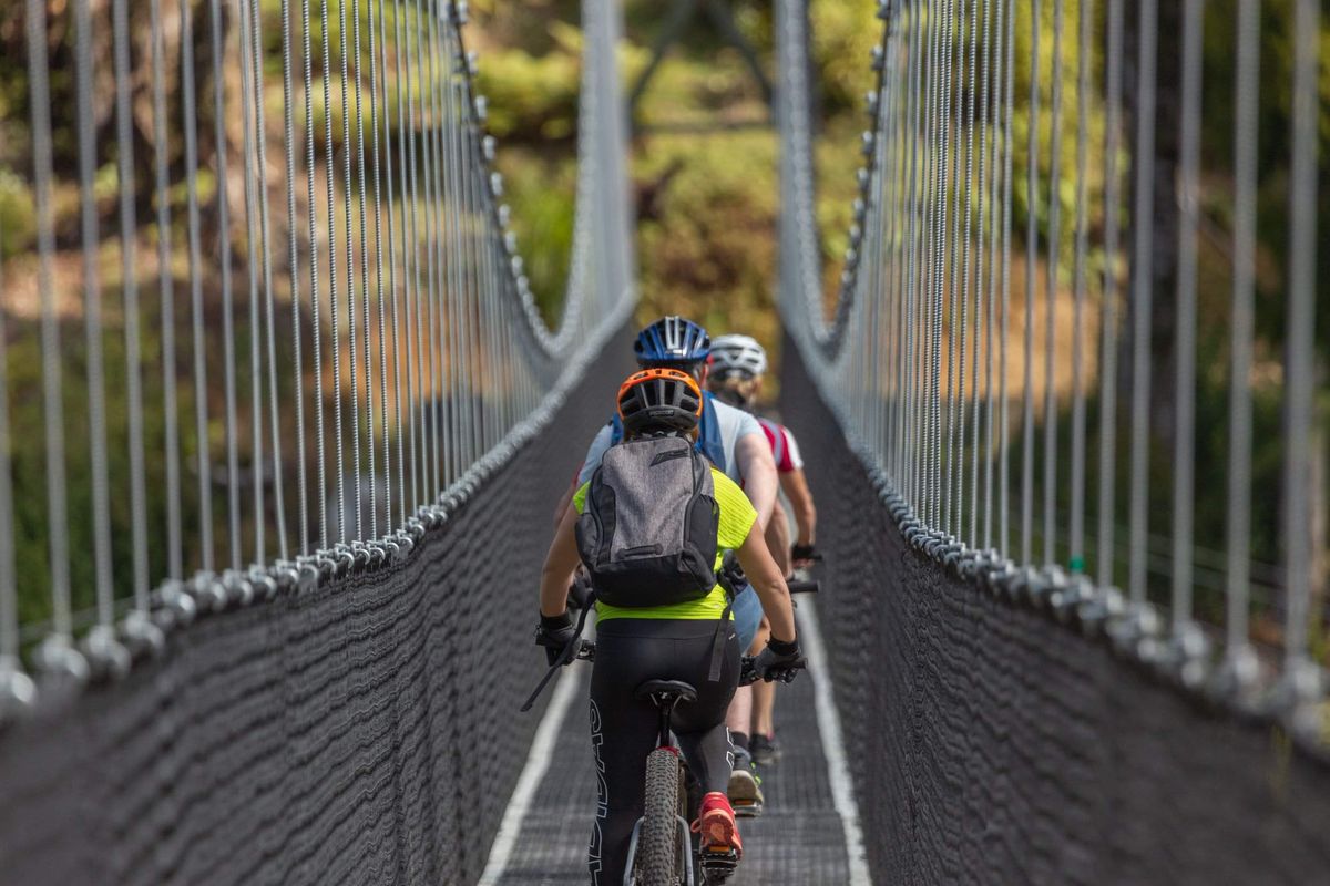 Short Rides | Timber Trail NZ