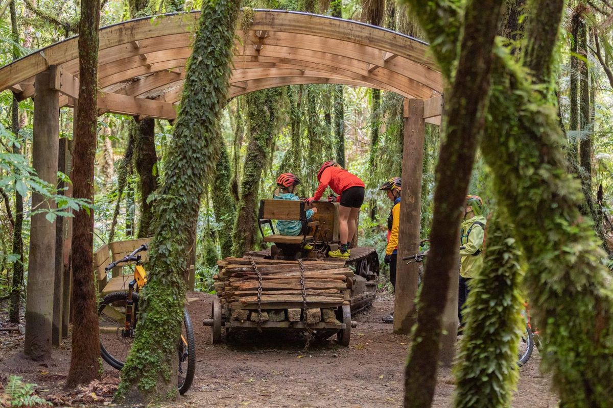 Short Rides | Timber Trail NZ