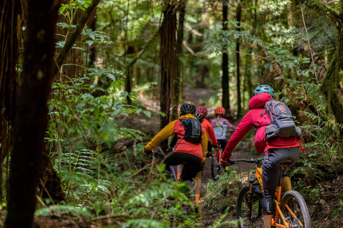 Respect the rules, other riders, the trail & the environment | Timber ...