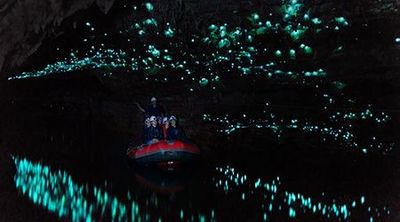 Getting Here | Timber Trail NZ