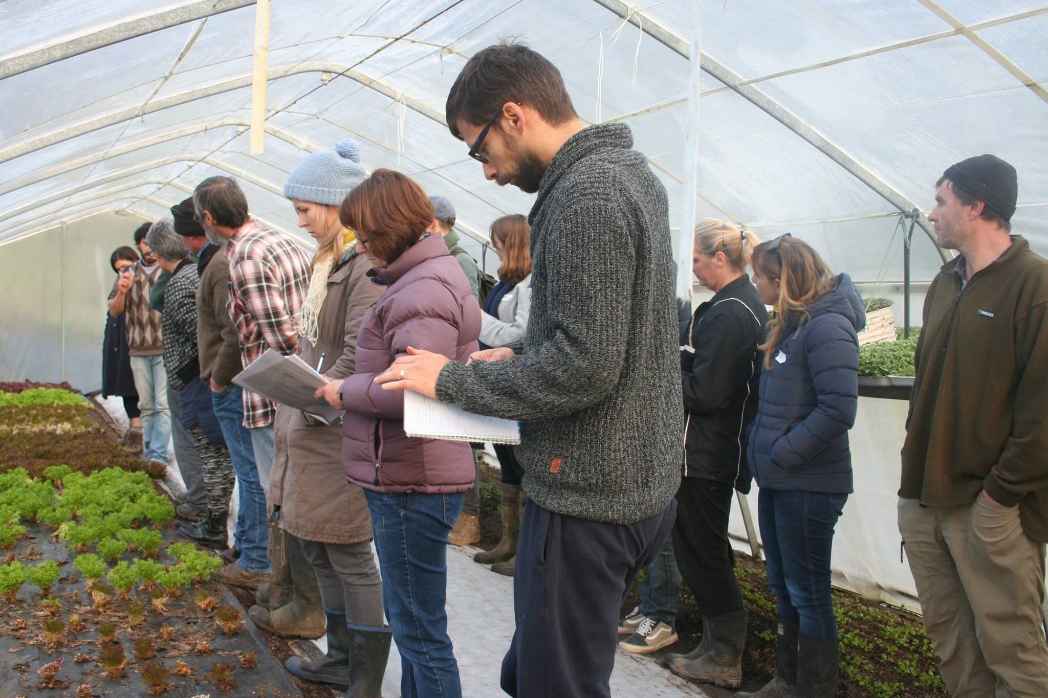 Market Gardening 2 Day Workshop at Pakaraka Farm, Workshops | Pakaraka ...