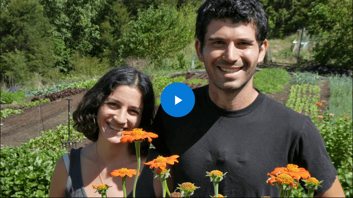 Pakaraka Permaculture in the Media | Pakaraka Permaculture