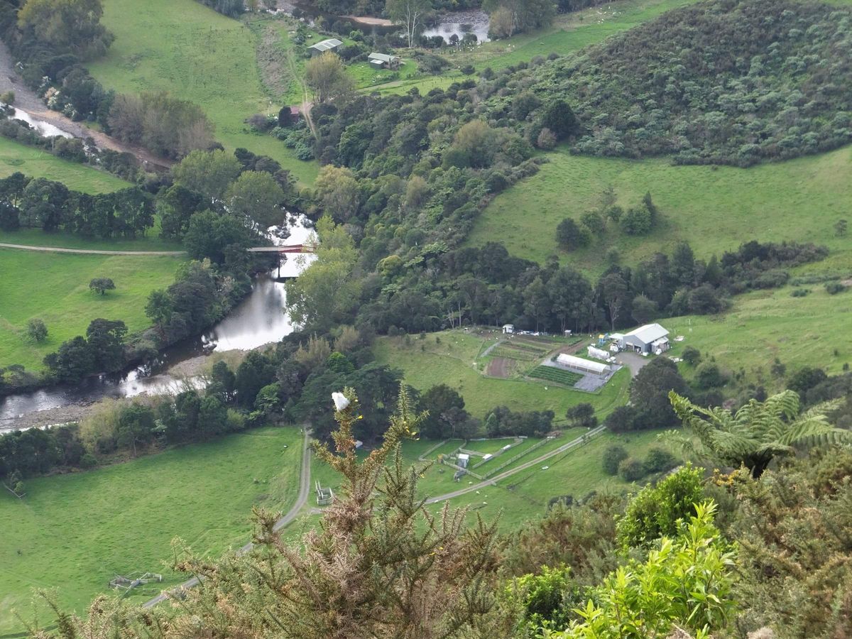 Farm Produce | Pakaraka Permaculture