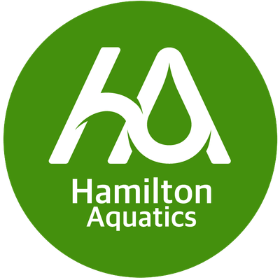 Swimming Hamilton. Hamilton Aquatics swimming club.