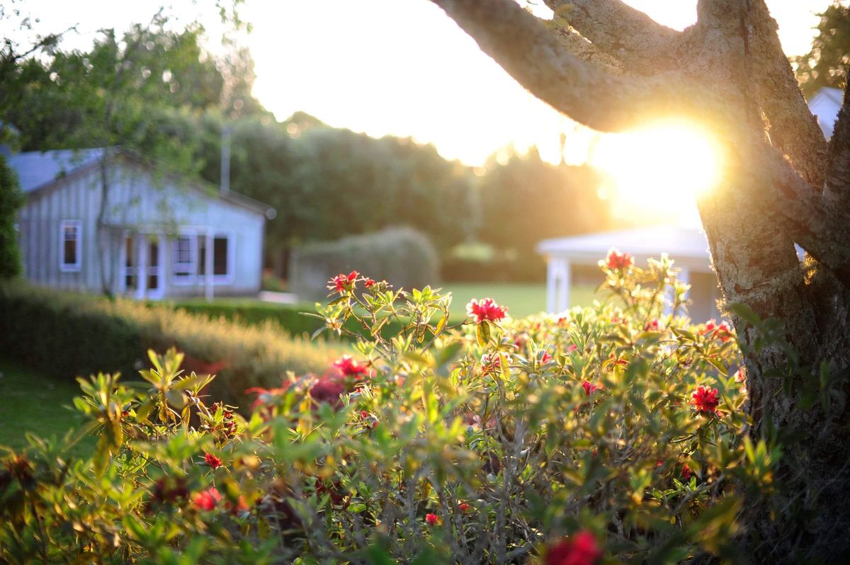 Capernwray New Zealand | Contact