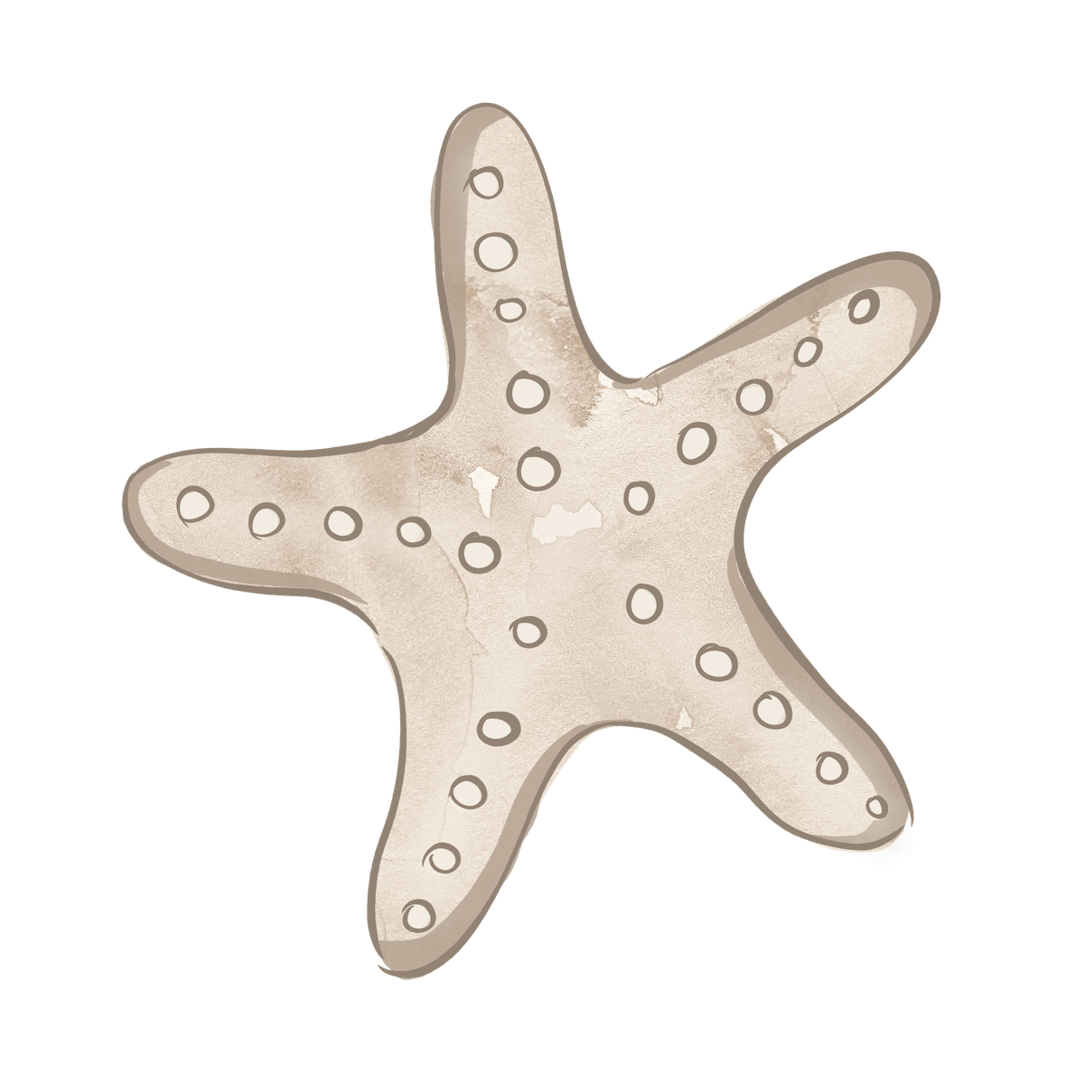 About | Olive Shoots