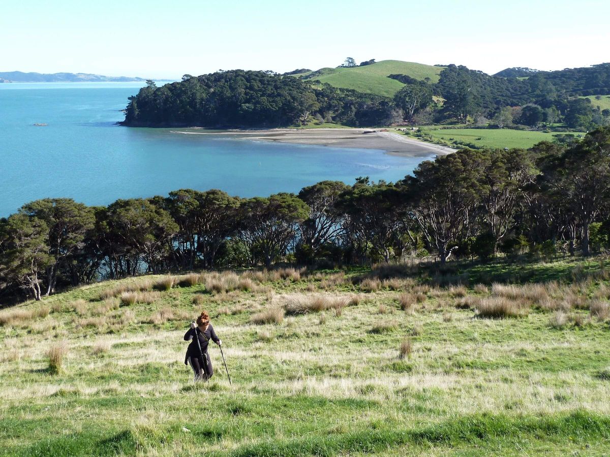 EcoQuest New Zealand | Ecology in Action Summer Program