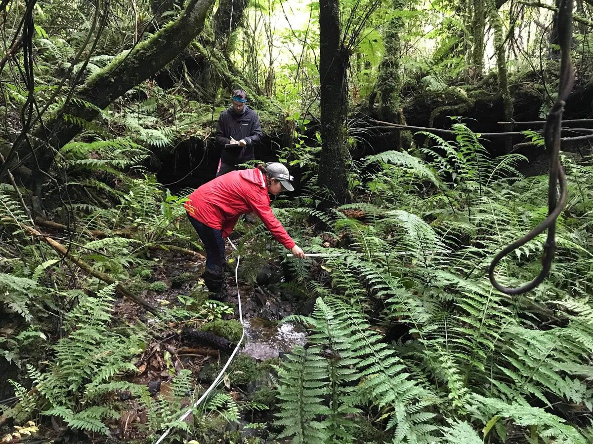 Field Studies | EcoQuest New Zealand