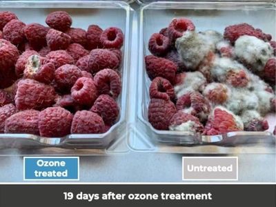 Small Fridge Ozone Unit | New Zealand Ozone Limited