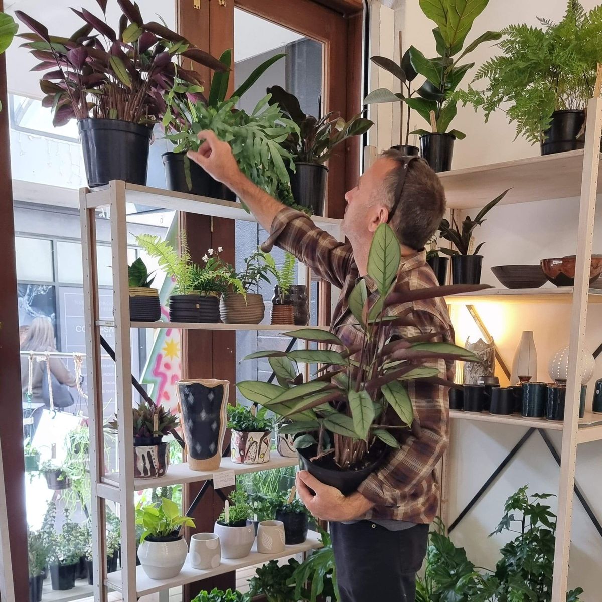 About Us | Deciduus Gallery Tirau New Zealand Made