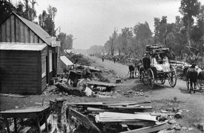 Ohakune Old Coach Road - History | Mountains to Sea NZ