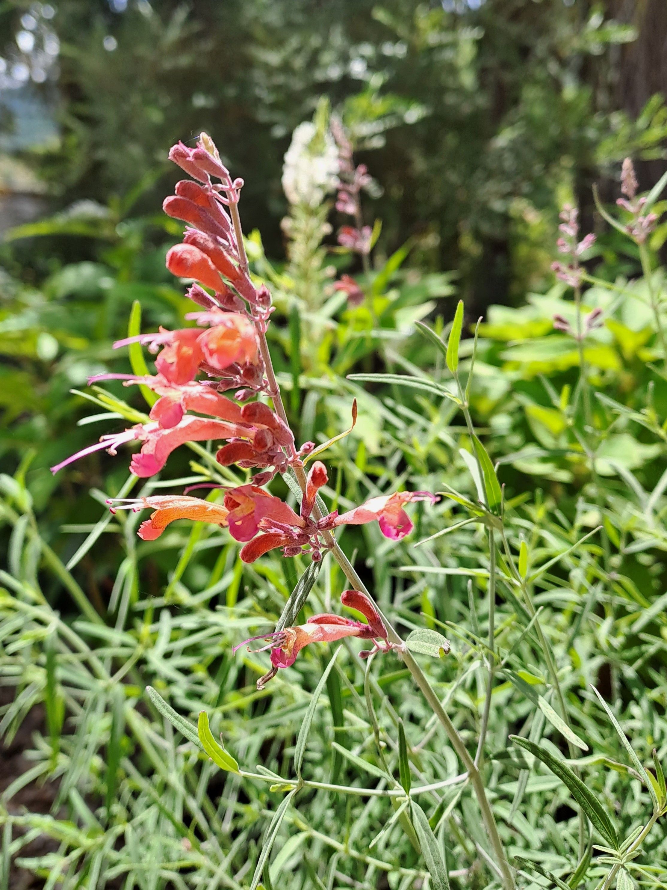 Shop Home | Crafted Earth