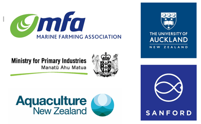 Spat Nursery Culture - project | Marine Farming Association Incorporated