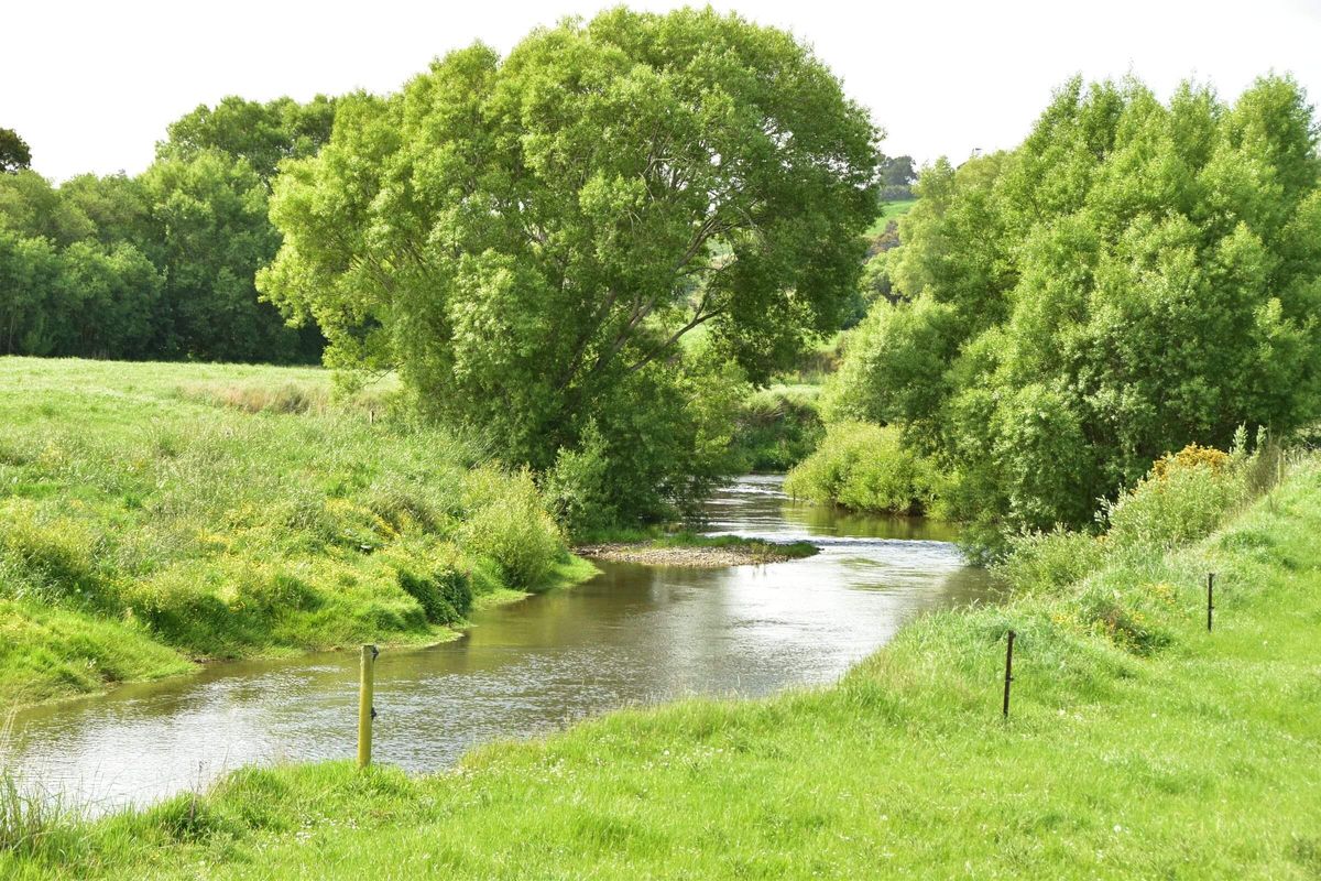 Projects_MID & LOWER MATAURA | Thriving Southland