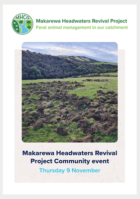 Makarewa Headwaters Revival Project | Thriving Southland