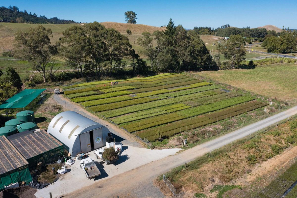 Order Submission form | Restore Native