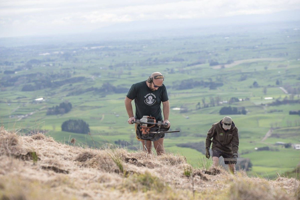 Order Submission form | Restore Native