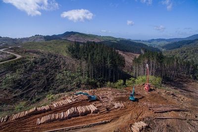 171-22 Madill Hauler | Log Lease