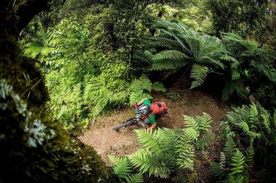 MOERANGI TRAIL | Ride Rotorua Limited