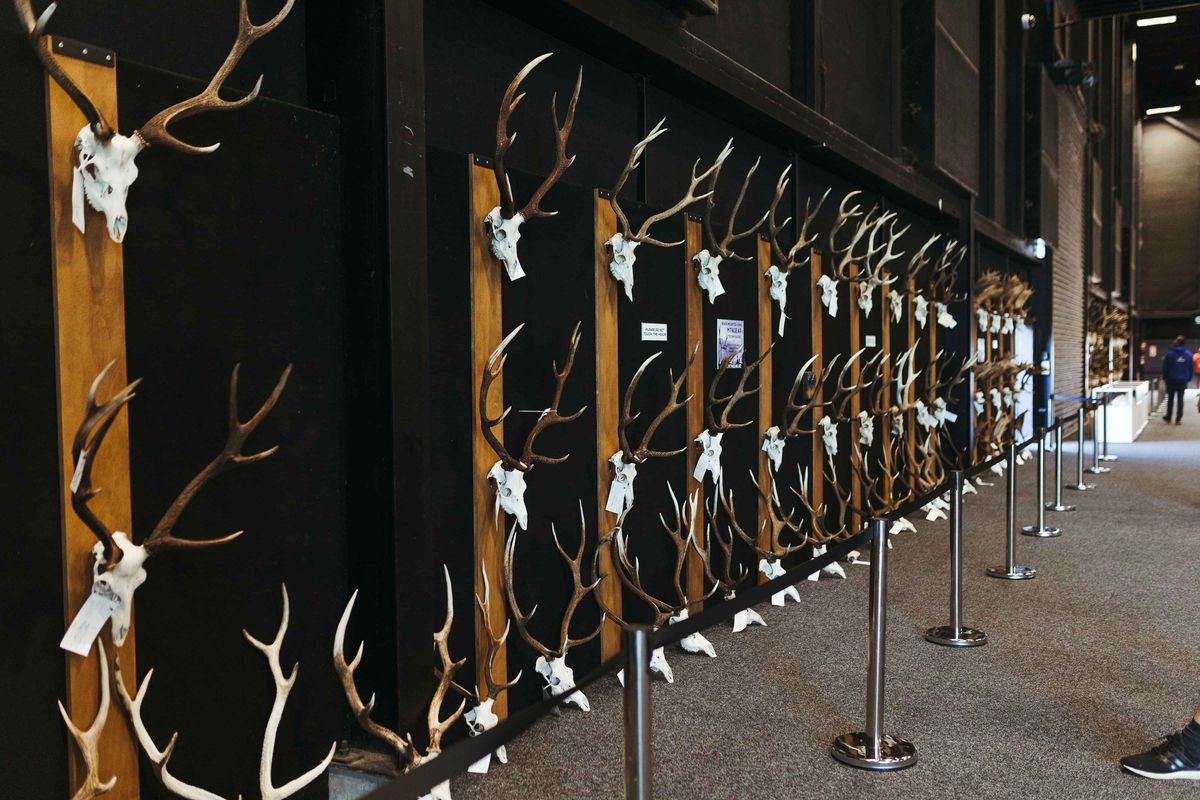Home | Sika Show