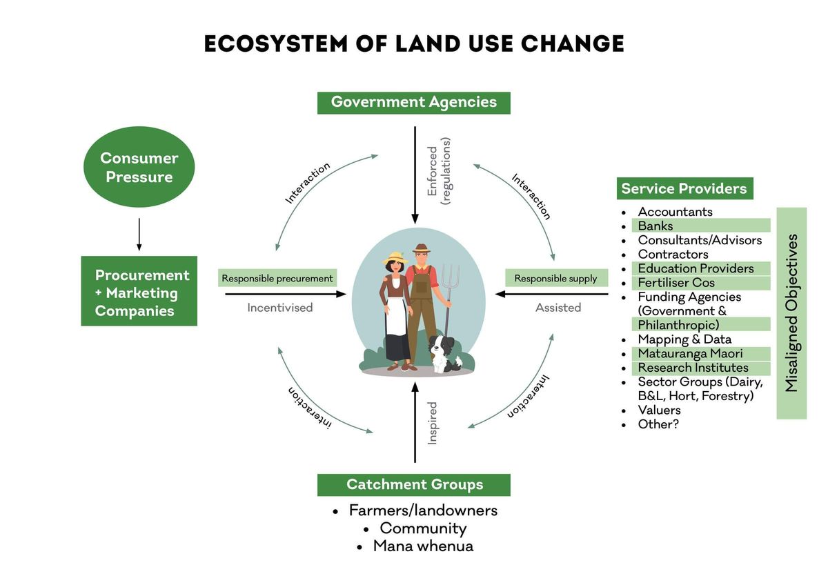 Article_The Future of catchment groups | Wai Kokopu