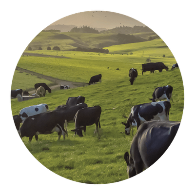 Farm Teams & High Performance eBook | Rural Coach