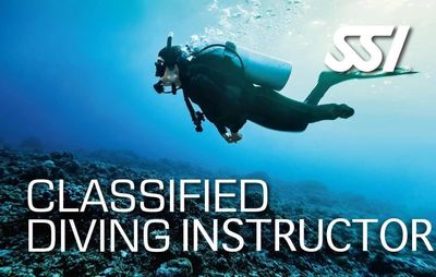 Classified Diving program | Aotearoa Dive
