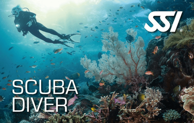 SSI Scuba Diver program | Aotearoa Dive