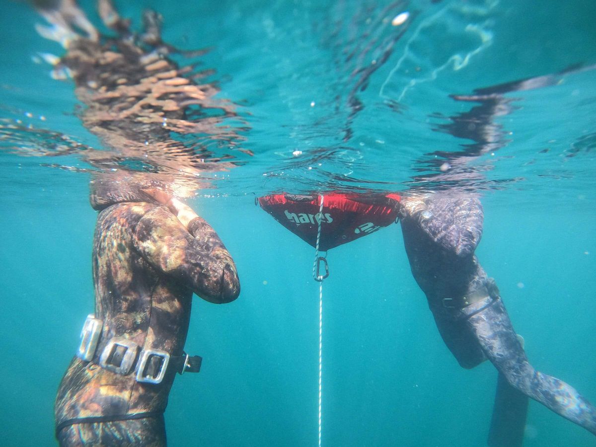 Upcoming training programs with | Aotearoa Dive