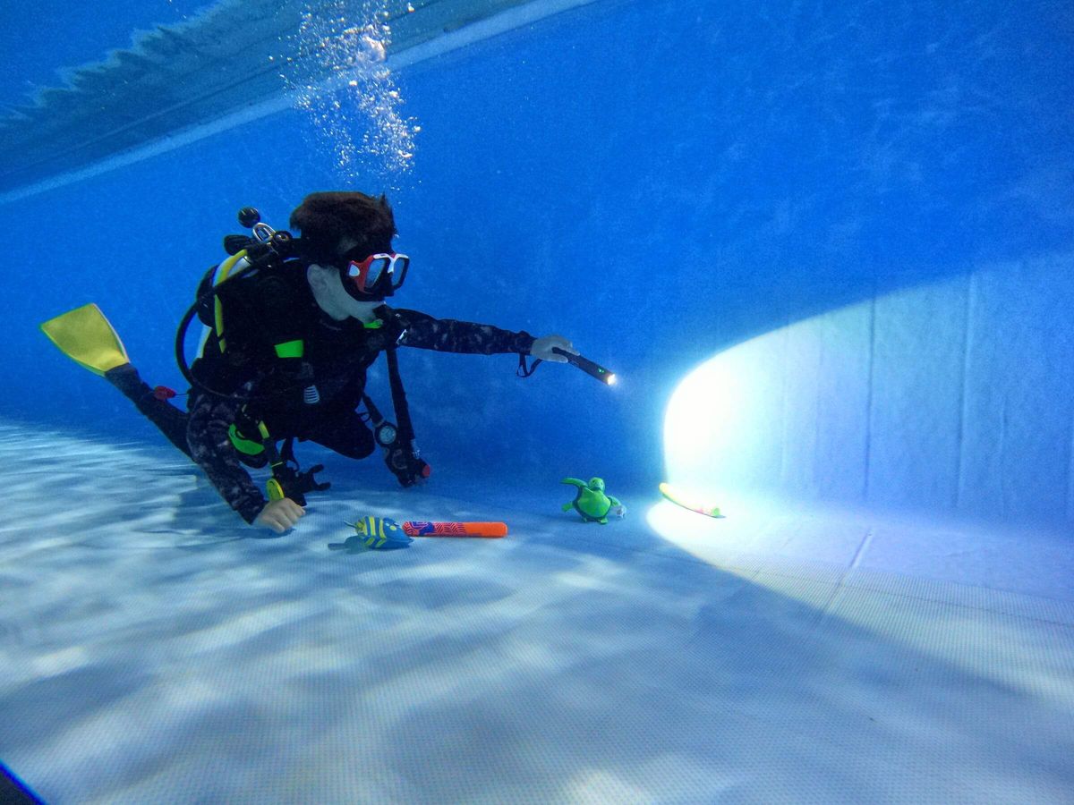 Upcoming training programs with | Aotearoa Dive