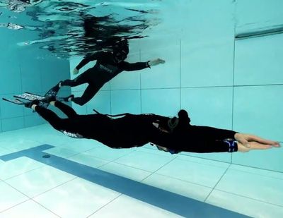 Basic freediving instructor | Aotearoa Dive