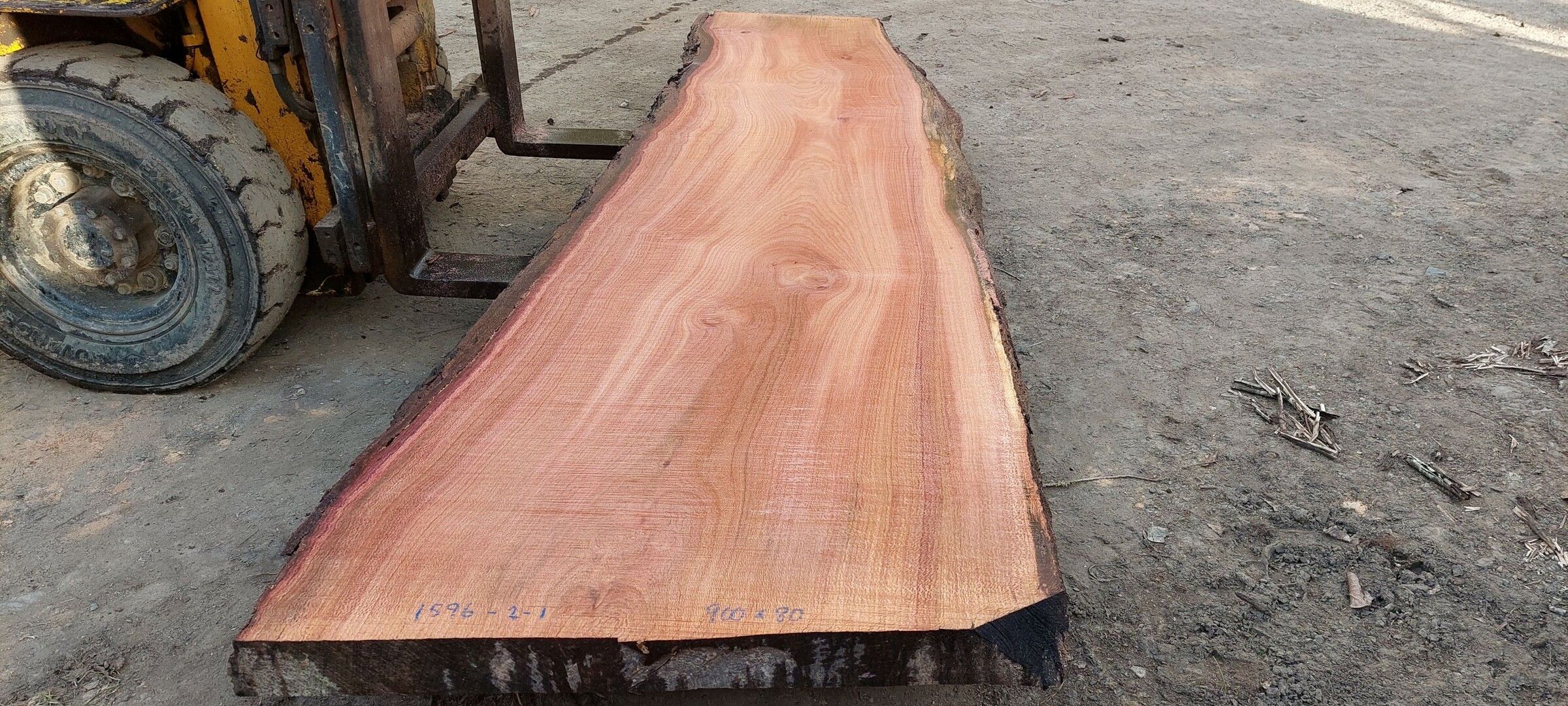 Silky Oak-Slab-1596-2-1-SLA, Slab | Rarefind Timbers NZ Ltd