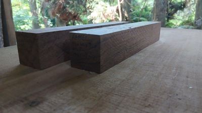 Blackwood, Tasmanian, Knife Blank-AAMEL-1981-2-2 RF1S Off_B, Knife ...