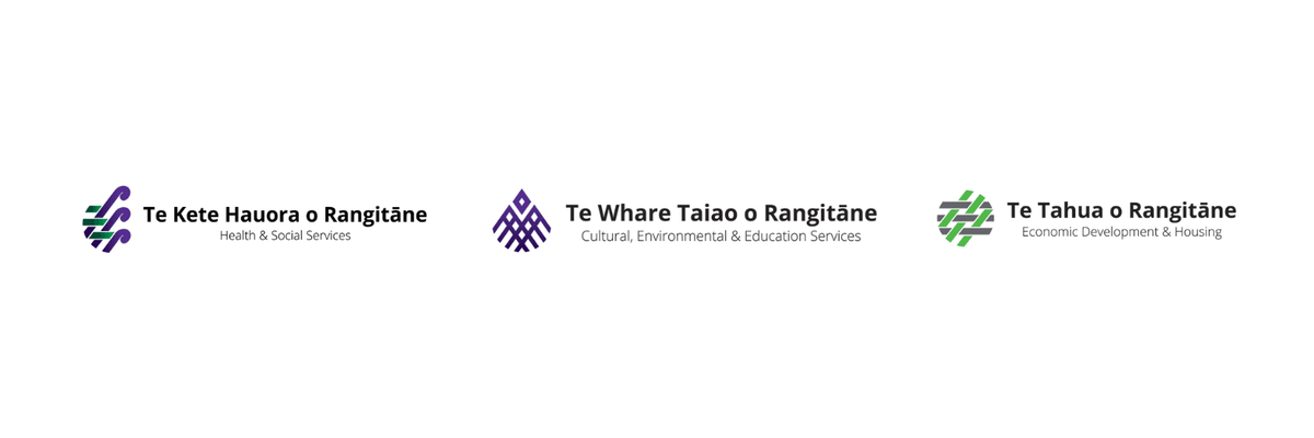 Rangitane Iwi Hapu Kaumatua Rangatahi Tamariki Health Social ...
