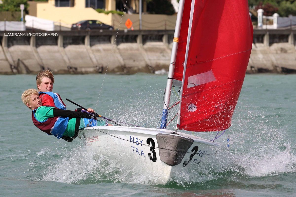 Team Racing | Nelson Bays Team Sailing